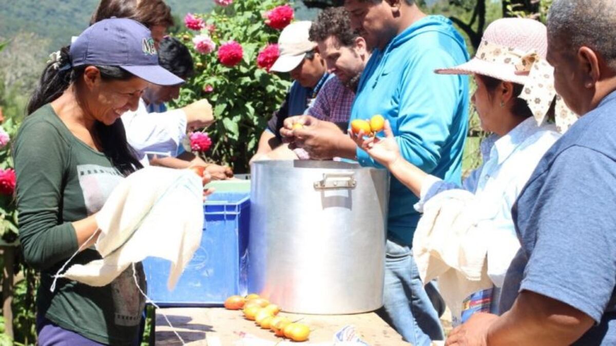 Secreto revelado: la lista de los alimentos jujeños más saludables