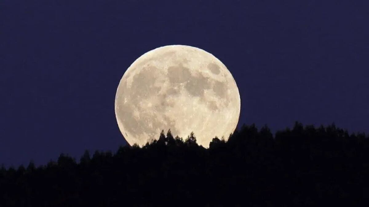 Luna Llena en Cáncer: tres rituales fáciles que podés hacer para cerrar ...