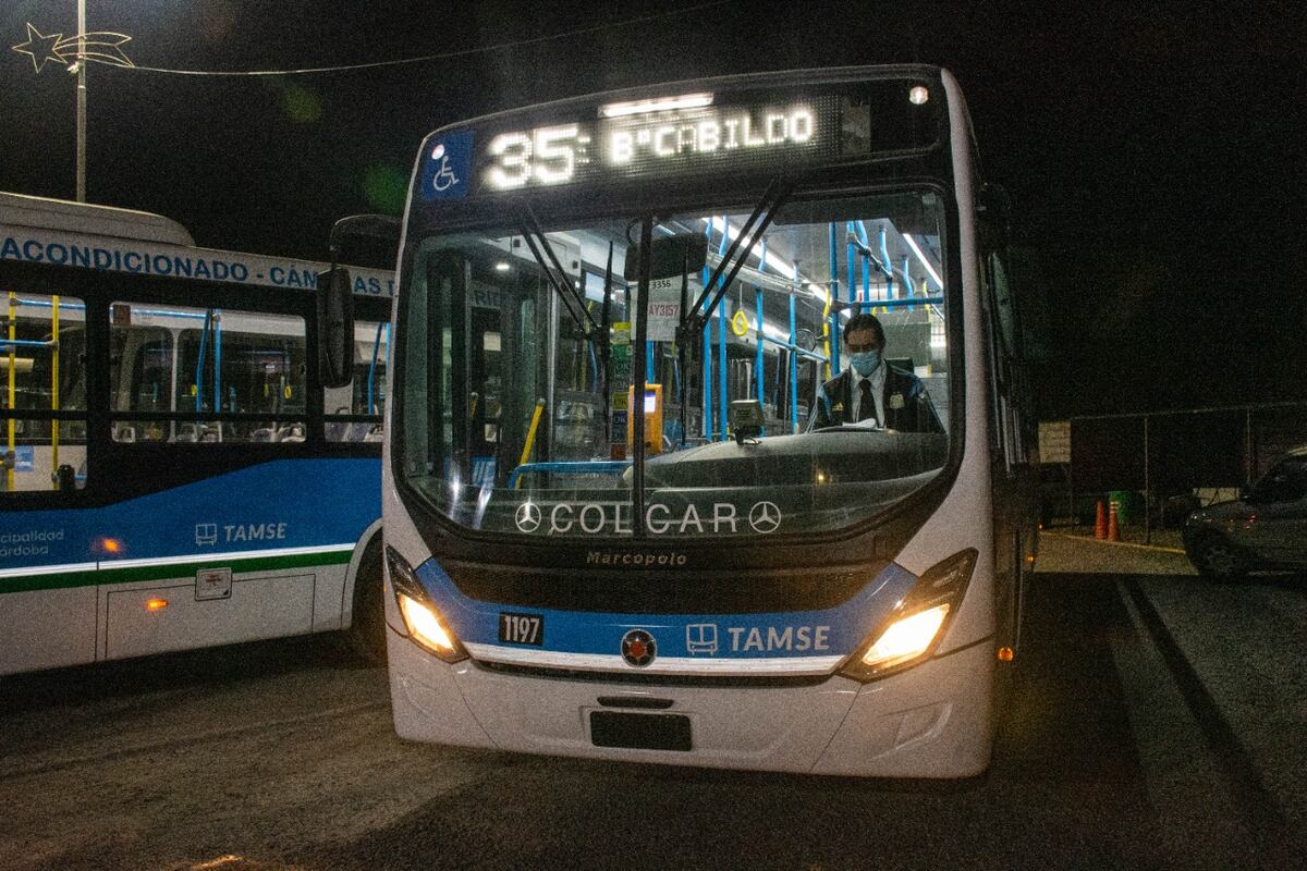 Córdoba: nuevos colectivos de Tamse y de Coniferal cubren los ...