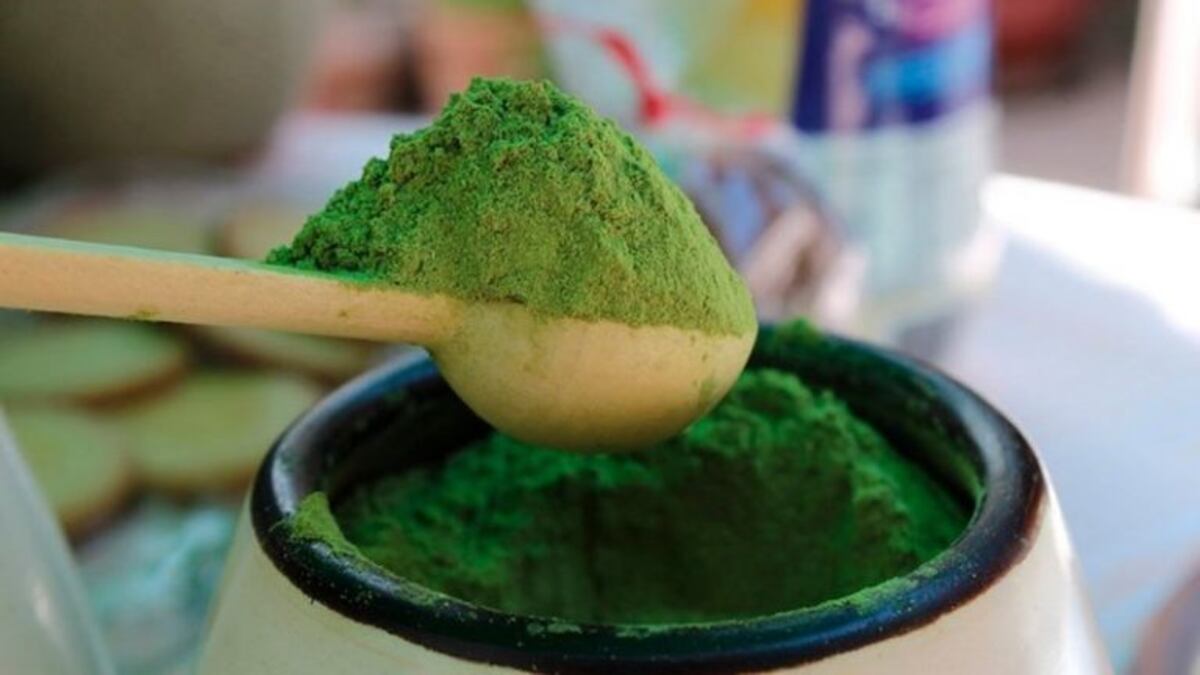 Conocé los beneficios de la harina de coca, el nuevo superalimento ...