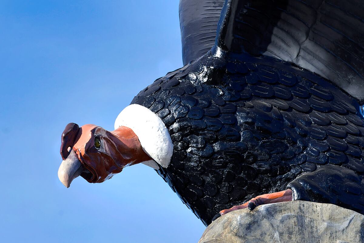 El Cóndor de Acceso Sur ya se luce para recibir a los visitantes de Mendoza