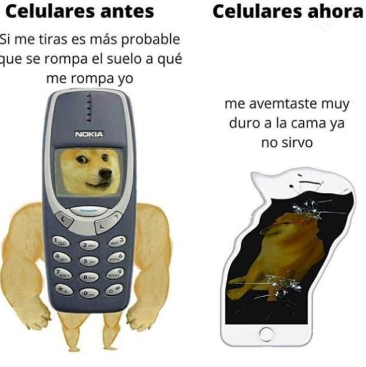 "El meme del perrito", la sensación viral del momento