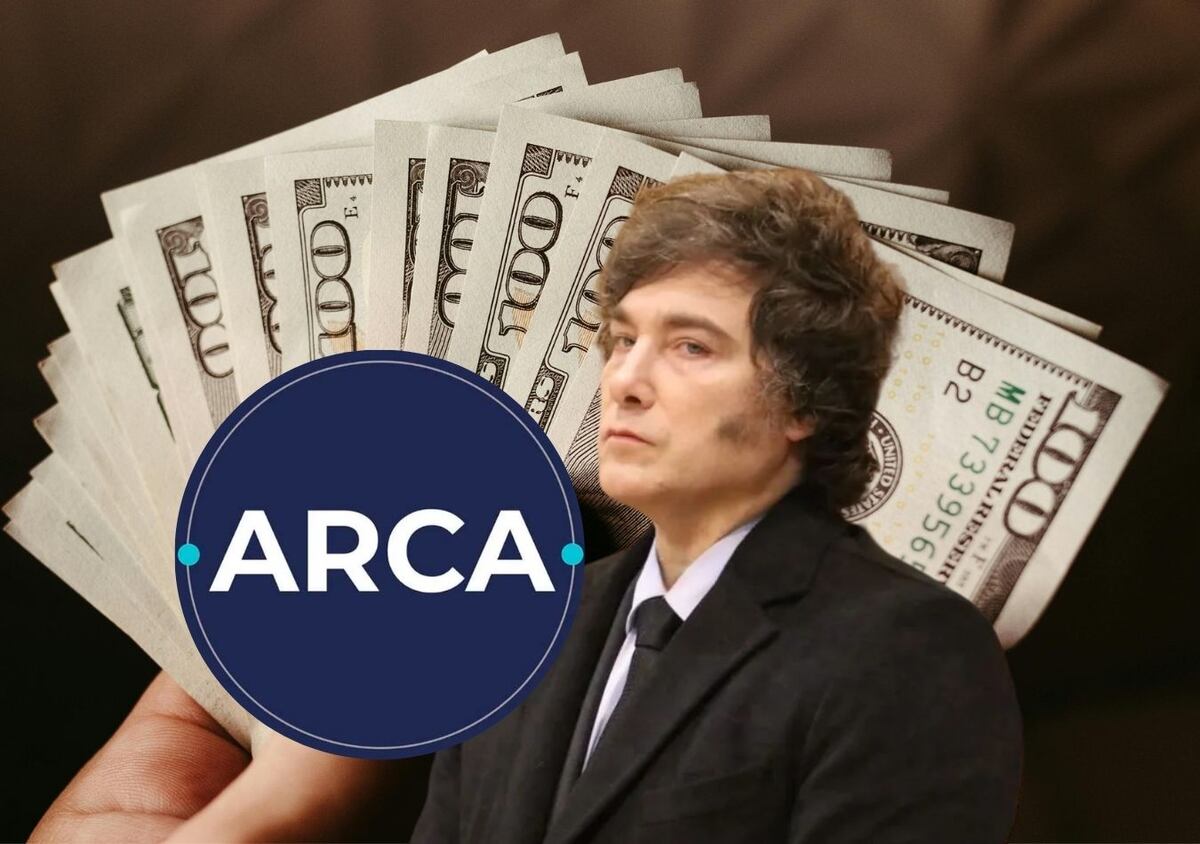Qué pasó con la web de ARCA y cuándo vuelve a funcionar