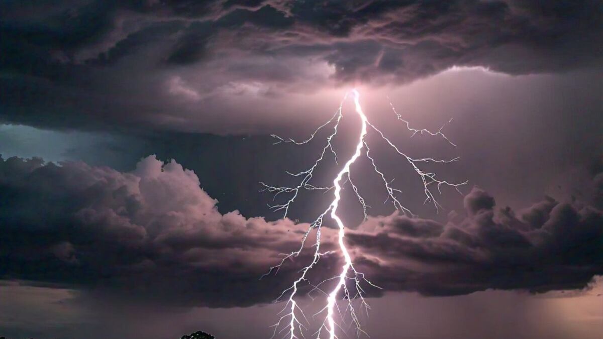 Milagro en Córdoba: le cayó un rayo mientras trabajaba bajo la lluvia y ...