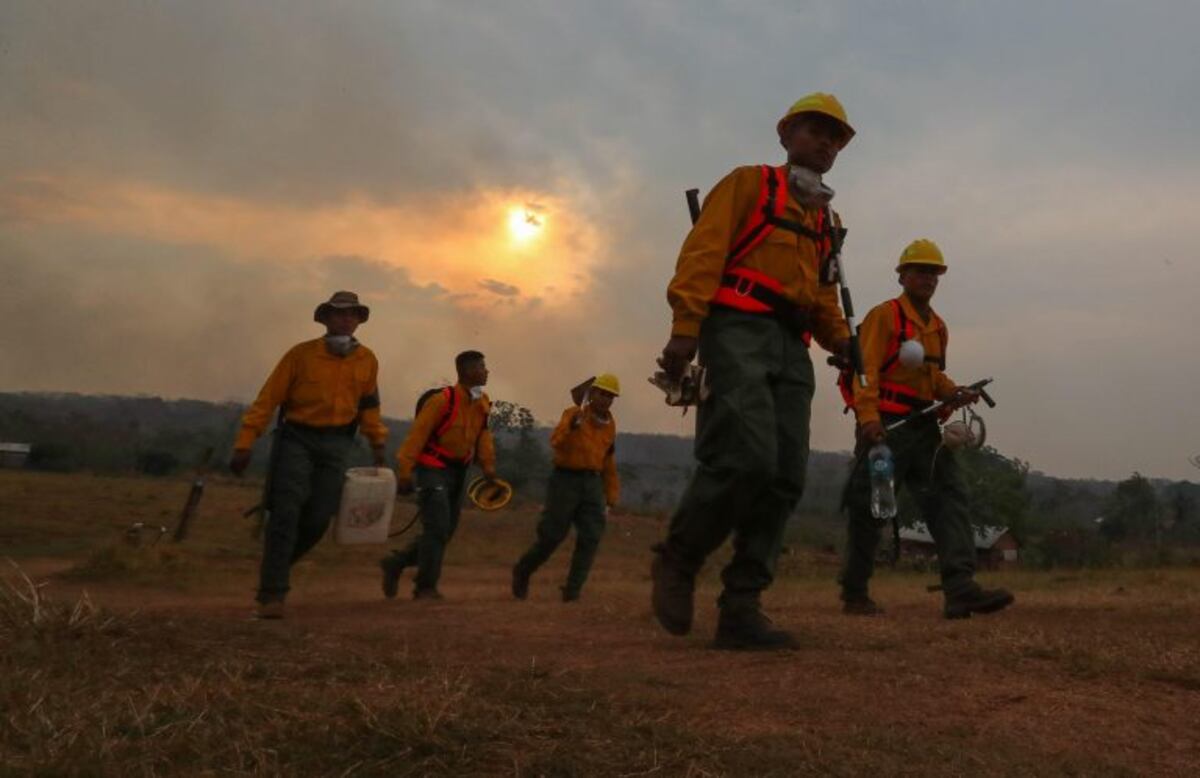 Mueren tres bomberos voluntarios que combatían incendios en Bolivia ...