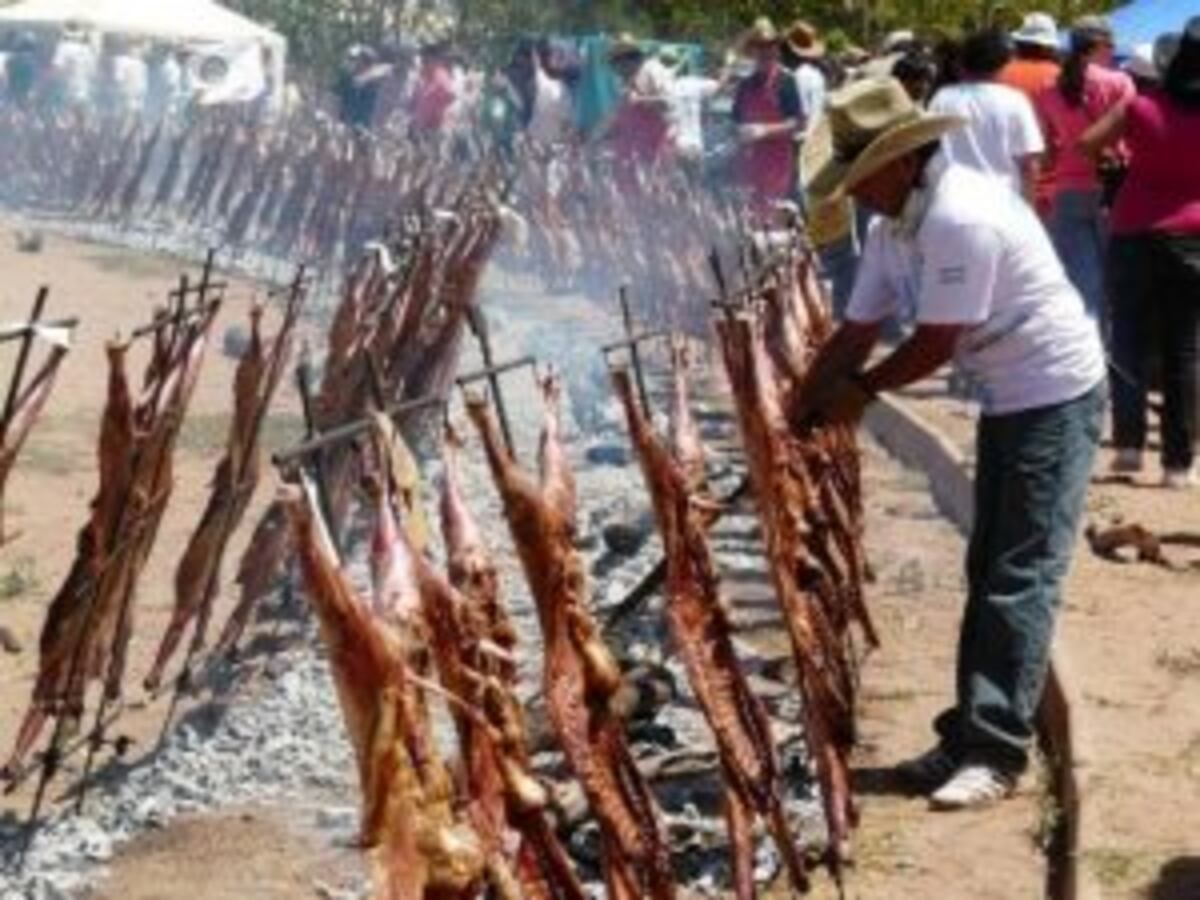 La Fiesta Nacional del Chivo de Malargüe cerró con 400 chivitos asados ...